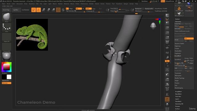 20. Chameleon Sculpt