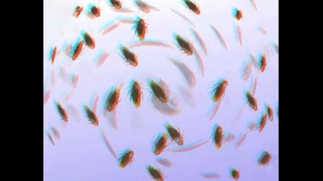 10. Фортепьянь