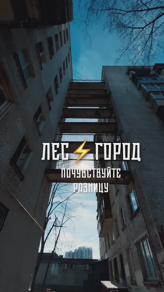 Лес ⚡️Город - почувствуйте разницу
