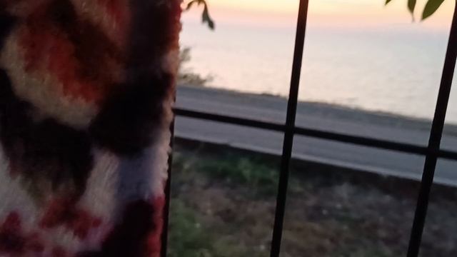 ПРАЗДНУЕМ ПРИЕЗД В -КЕДР -