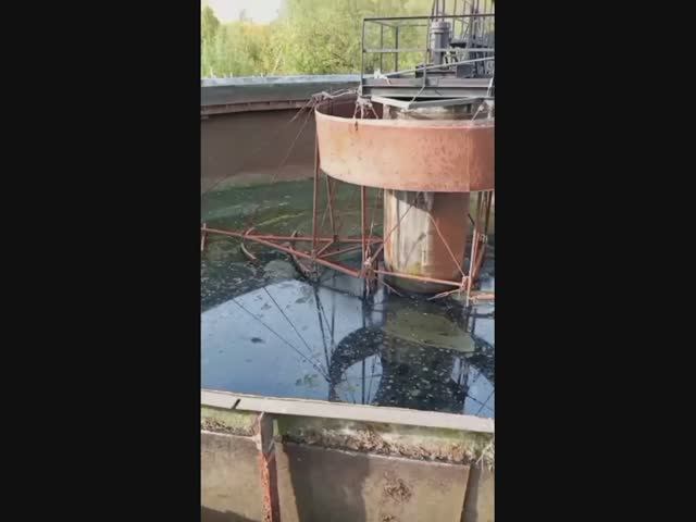 Вторичные отстойники Secondary settling tanks