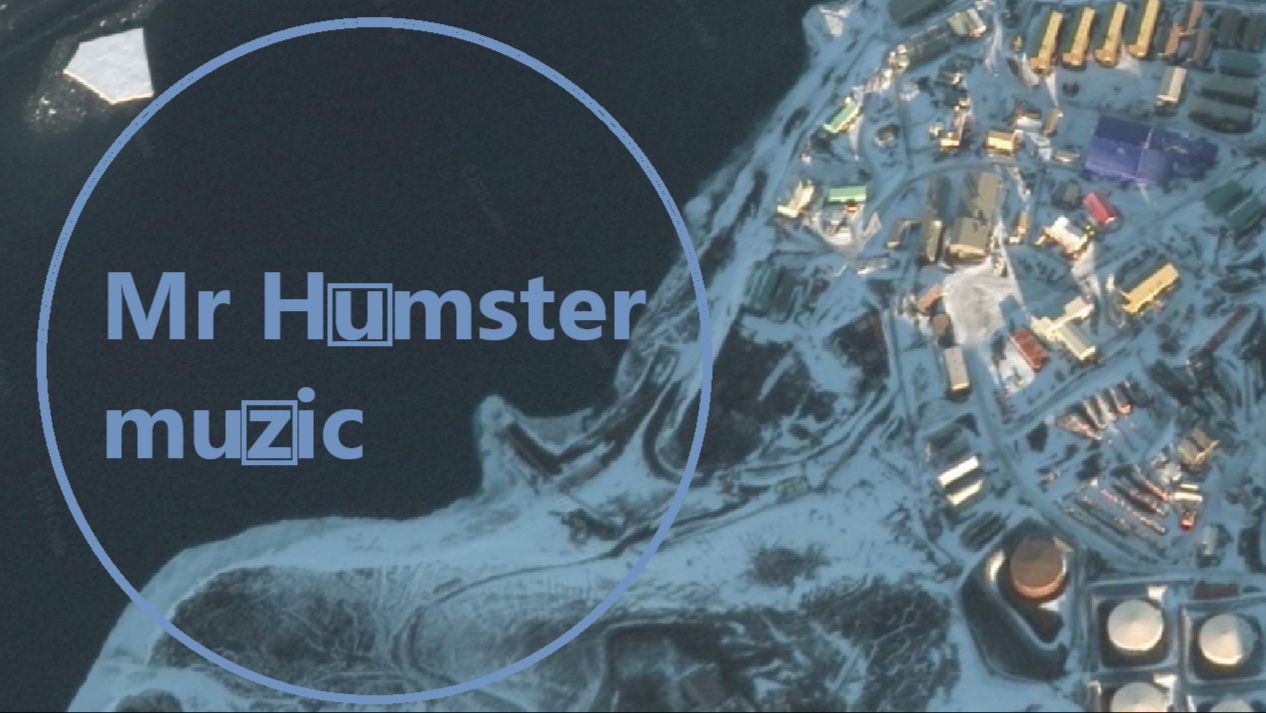 Mr Humster muzic / bass 25