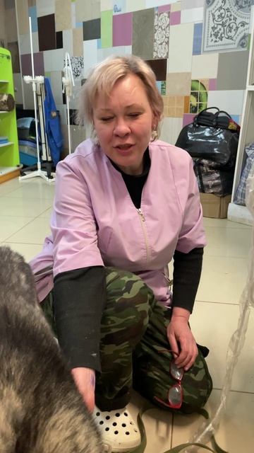 Баян — жизнерадостный пёс с потрёпанной мордочкой ищет дом и заботу!