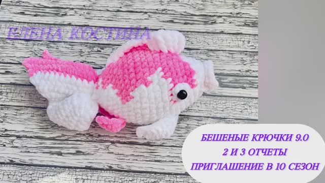 Бешеные крючки 9.0 отчет за 2 и 3 неделю. #бешеныекрючки #БешеныйДВИЖ