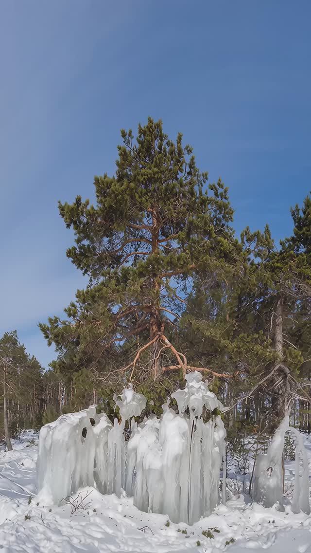 КАРЕЛИЯ. ОНЕГО