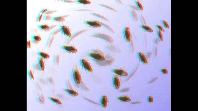 01. Блюз с тобой