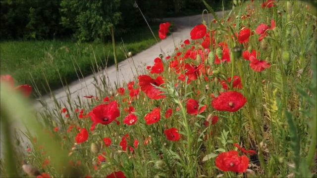Солнечный поток запущен. 29 марта подключаемся к изобилию.
