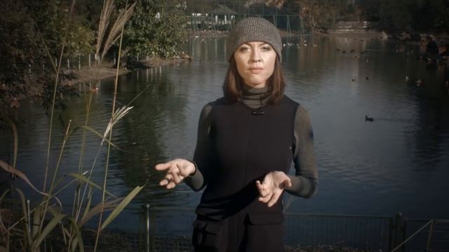 Почему птицы не летают как люди! Всё как у зверей!