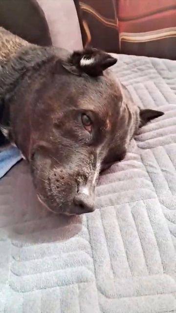 На расслабоне# после баньки#