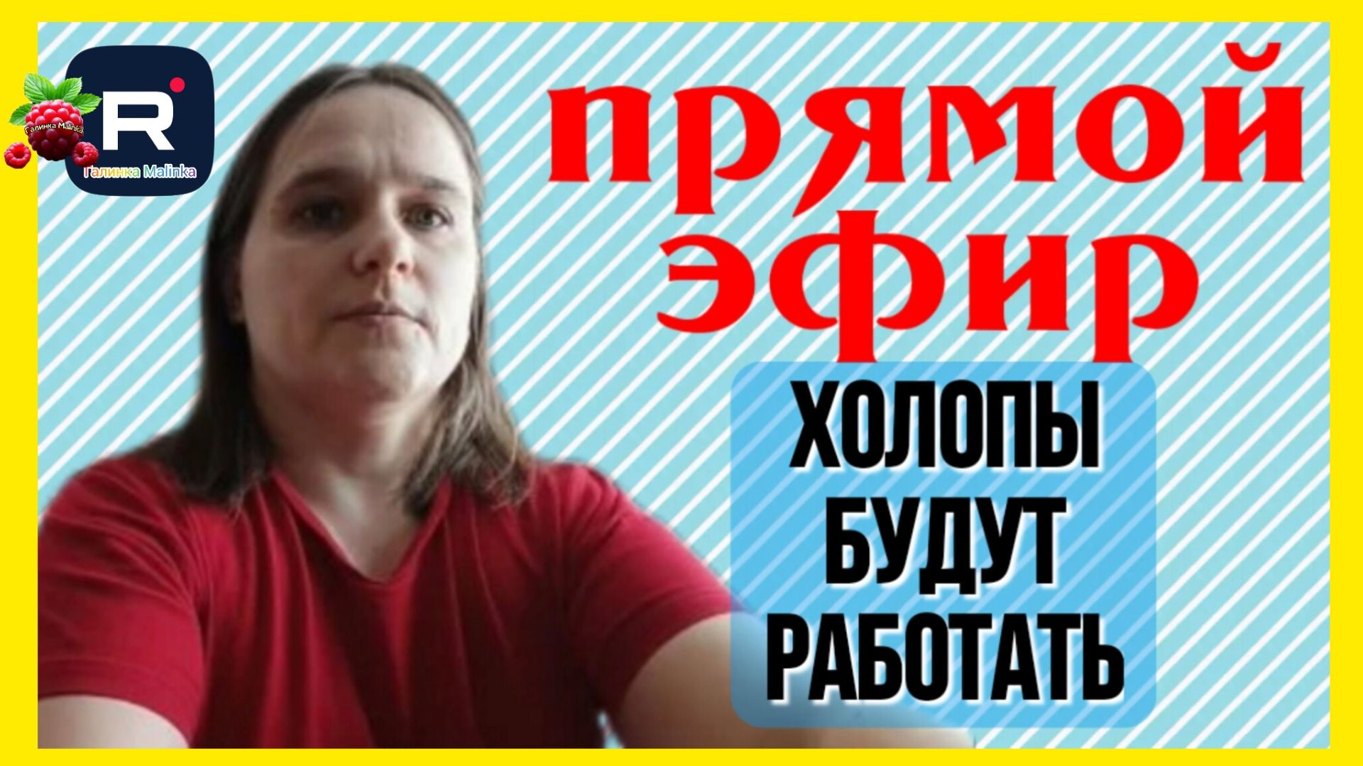 Бровченко _Прямой эфир _Холопы будут батрачить _Обзор _Семья Бровченко _Деревенский дневник