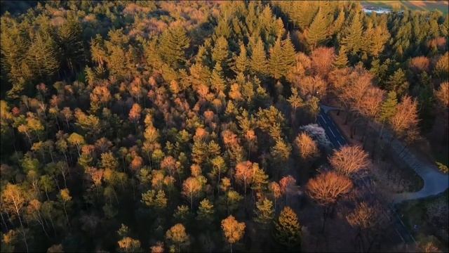 Сон с 31 марта на 1 апреля исполняет желания