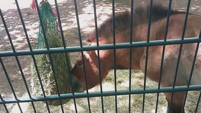 🩷ДОРОГИ, ГОРОДА, ЗООПАРК В ГЕРМАНИИ 👍😀