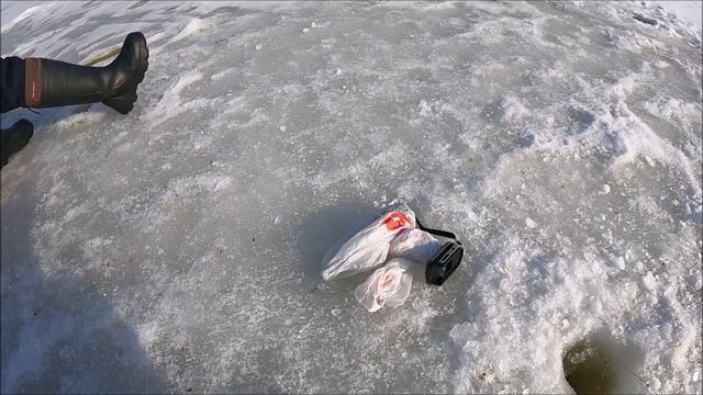 ТОЧКА ЛОВА. Р. Волга. Сорога.