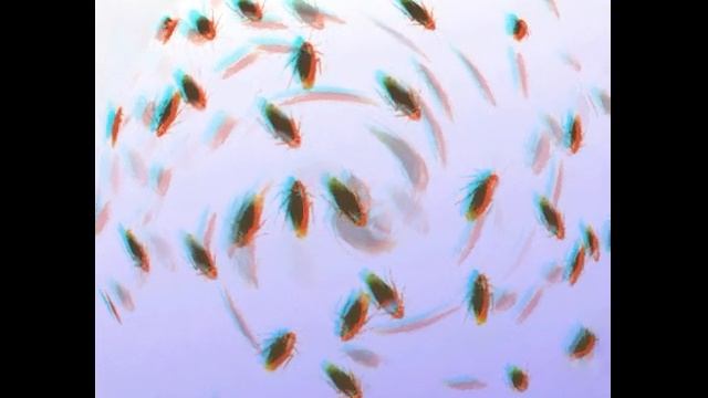 07. Колыбельная медведицы