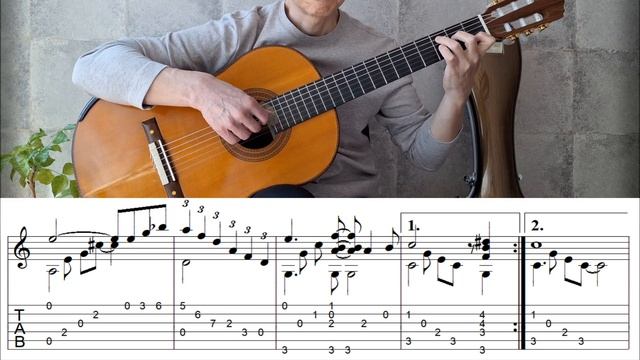 NOCTURNE Carl Henze на Гитаре. Уроки гитары. Ноты и табы для Гитары Jinsung Lee