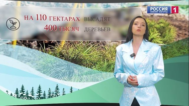 Новый выпуск программы «Лес и человек за пределами урбанистики»