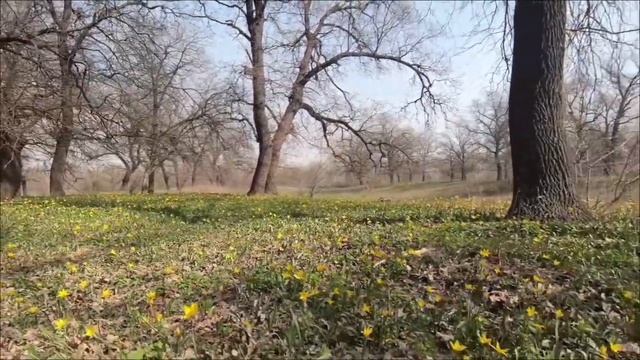 Сон на 1 апреля покажет ваши кармические задачи.