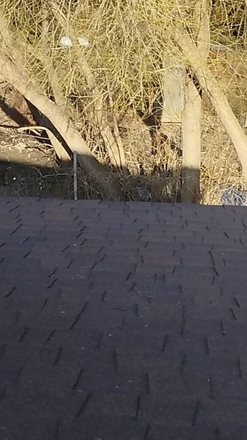 если видно белка там была