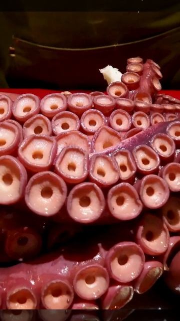 разделка 16 кг осьминога на сашими