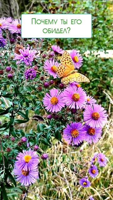 быть добрым