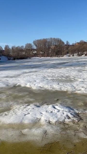 Привет! В Ундорах вырубают деревья вокруг центрального пруда, в том числе и многолетние ивы.  Деревь