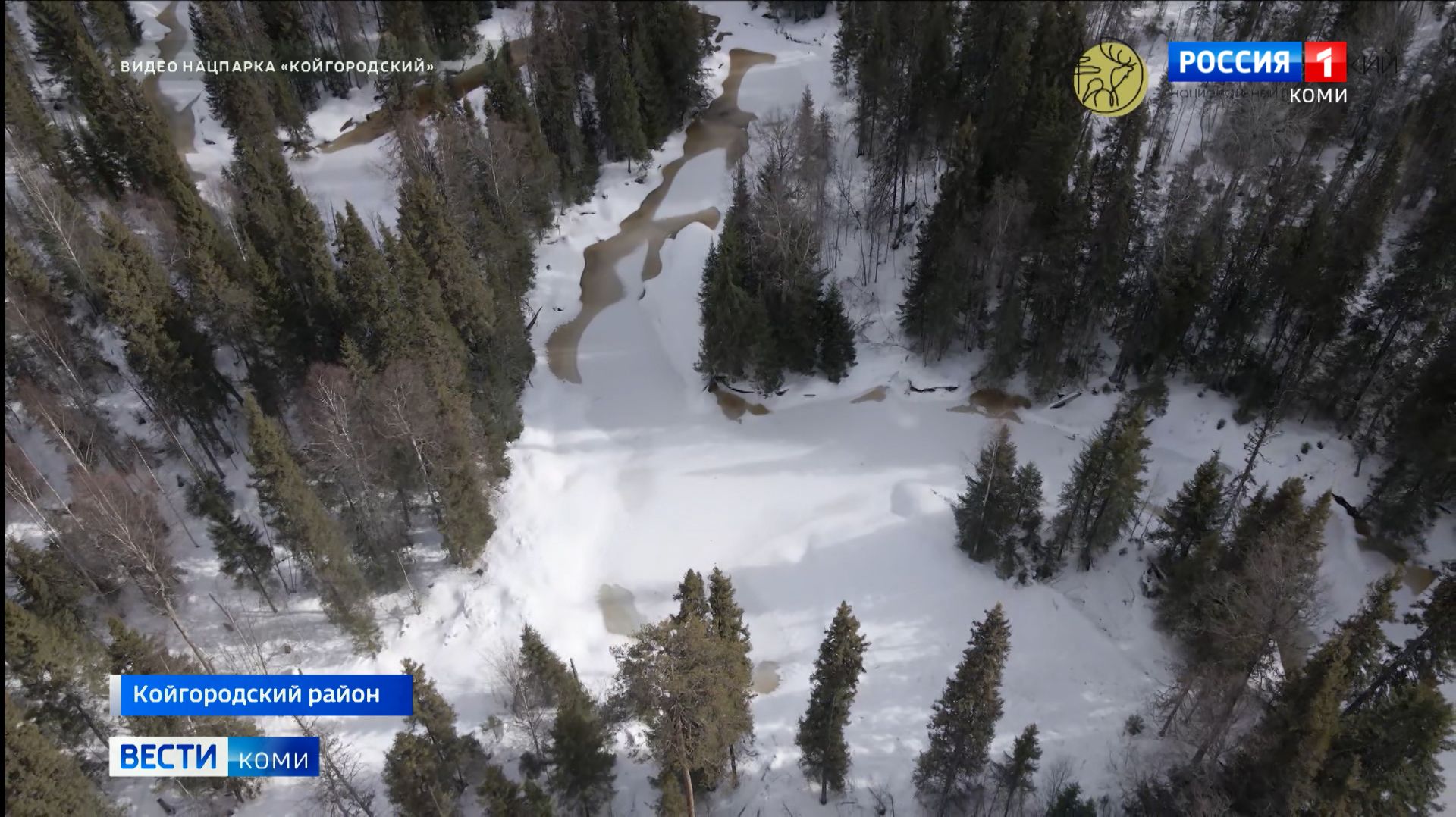 В национальном парке «Койгородский» завершился зимний маршрутный учёт