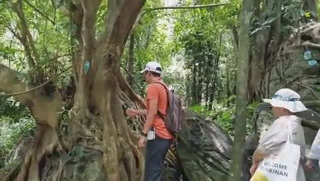 Остров Хайнань ПАРК ЯНОДА 1часть 04.07.24