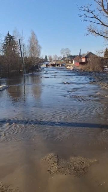 ⚡️ В селе Труслейка произошел прорыв плотины частного пруда.  Существует угроза подтопления частных