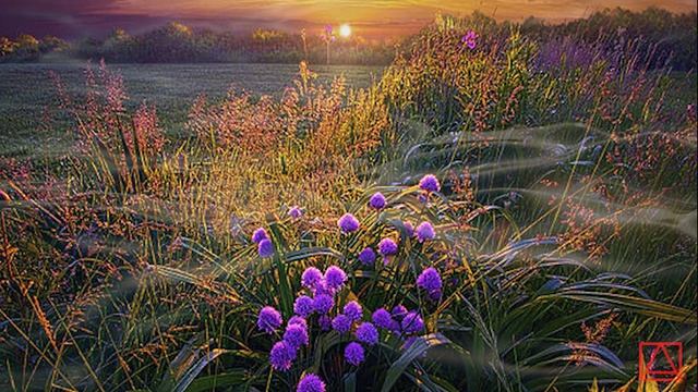 БЛАЖЕННАГО АВВЫ ЗОСИМЫ СОБЕСЕДОВАНИЯ ч7