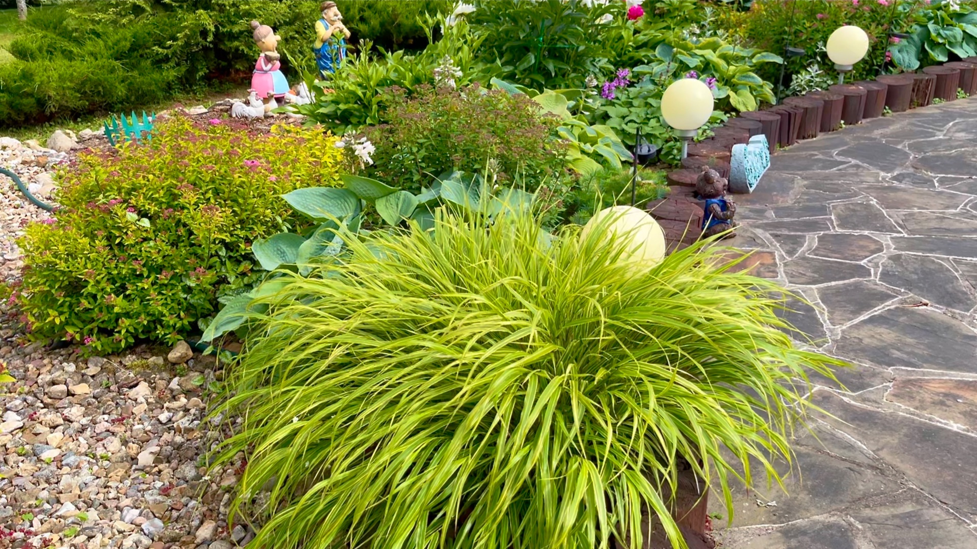 Многолетние растения с линейными и мечевидными листьями в дизайне сада.