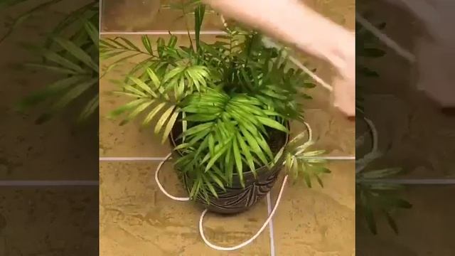 15 КАК ПОДВЕСИТЬ КАШПО