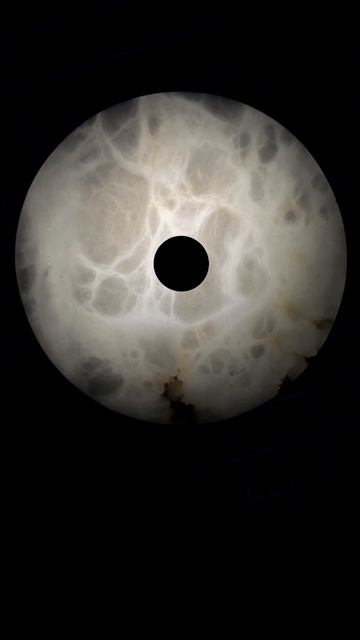 Светильник Eurosvet Thasos 40342 LED Black