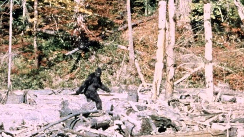 Знахарь Тарра Харрис. Кто эти  Аони?