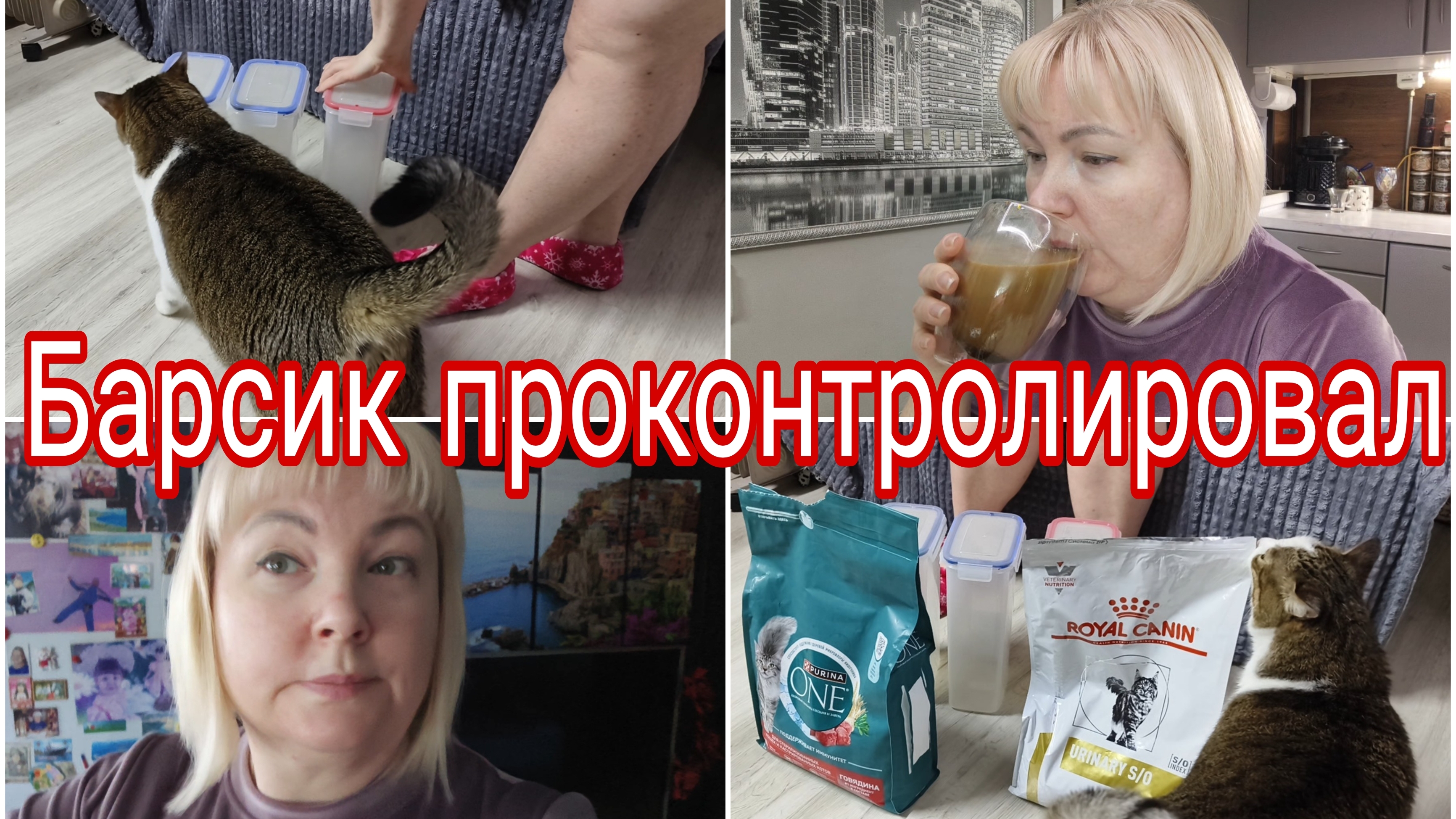 29-03-2026 Баночки Барсика * Комментарии