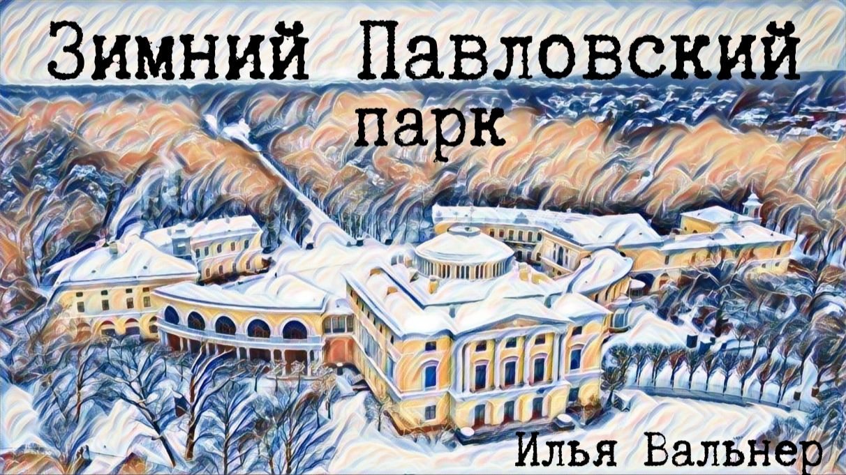 Зимний Павловский парк с высоты