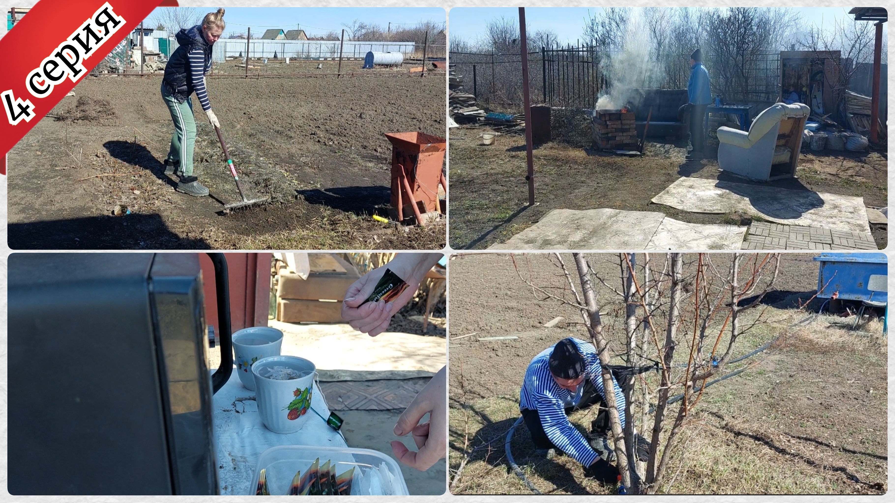 Плодотворная работа в саду. Обрезали дерево. Пересадка зелени. 4 серия