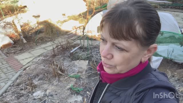 Дачный обзор 28.03 | первые всходы | форзиция