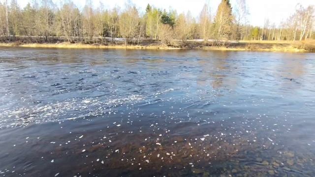 Весна на Емце