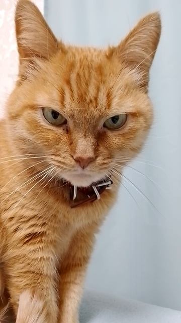 Ребята, давайте жить дружно!!!