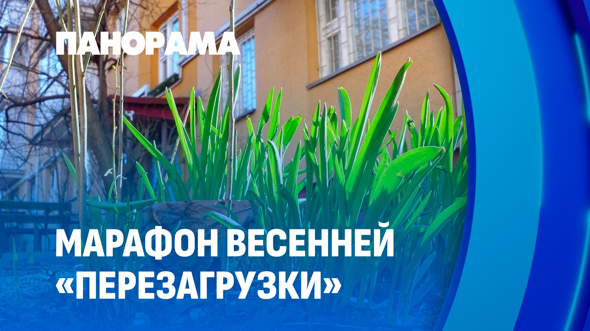 Акция "Весенний марафон" задает темп преображения всей Минской области. Панорама