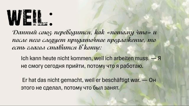 Немецкий. Союзы Weil и Deshalb. Размахина.Р.И
