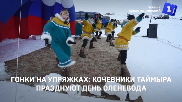Гонки на упряжках: кочевники Таймыра празднуют День оленевода