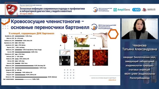 Бартонеллезы: актуальные вопросы эпидемиологии и диагностики