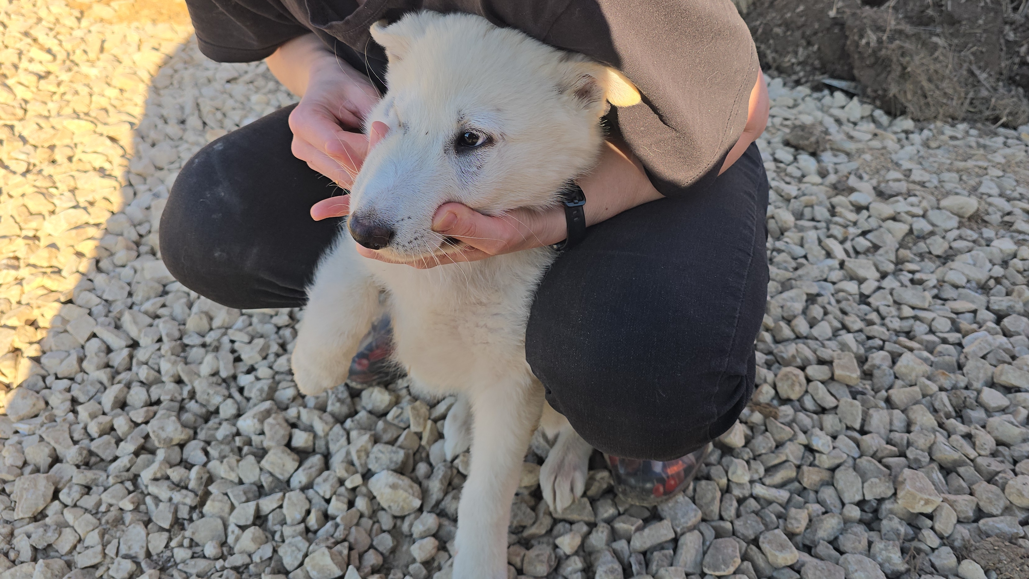 Ушли на антибиотики