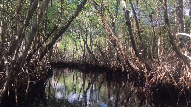 Чем дальше уходишь в дикую природу тем тише становится мир