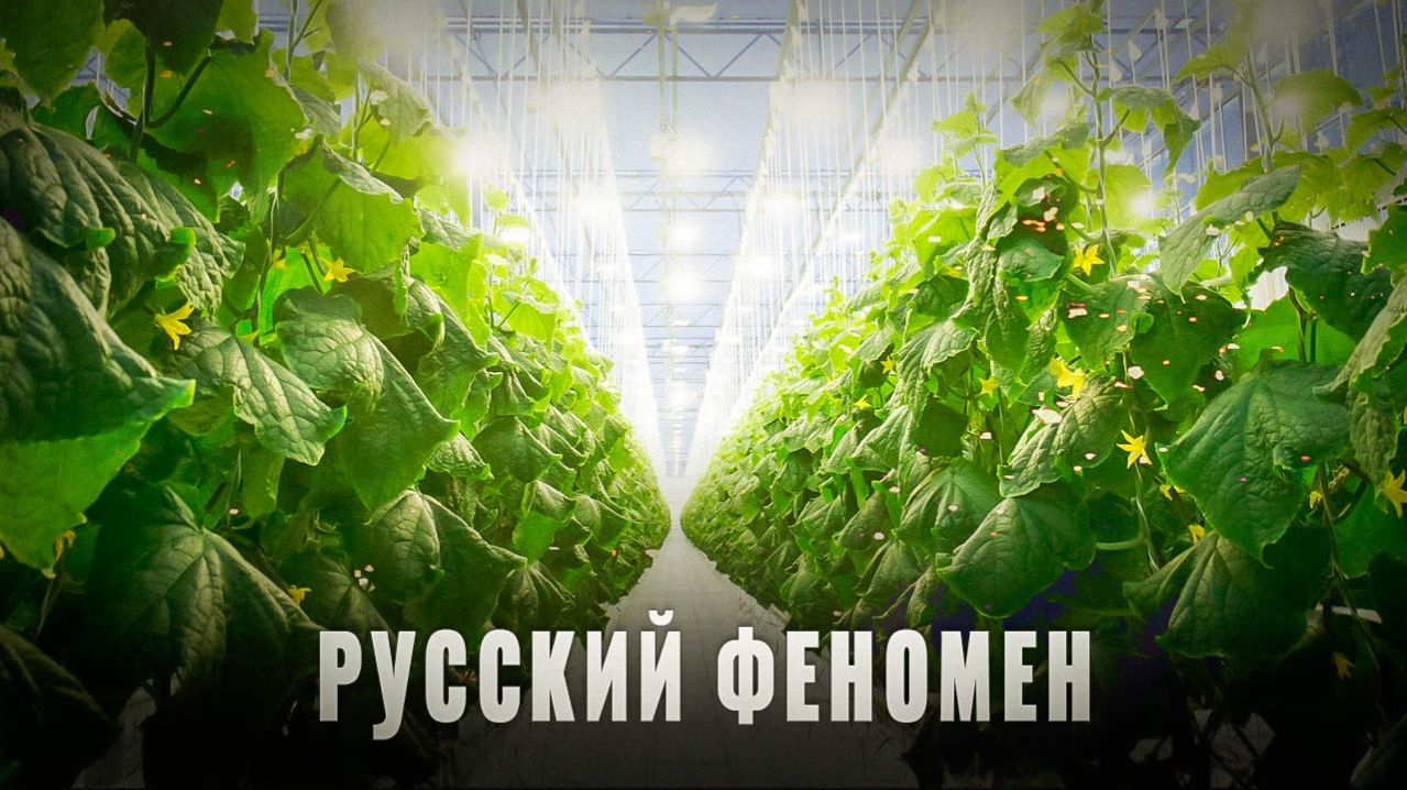 Русский феномен: Тепличная революция