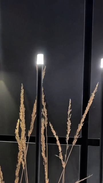 Светильники Elektrostandard Lumos 35168/F,35168/S