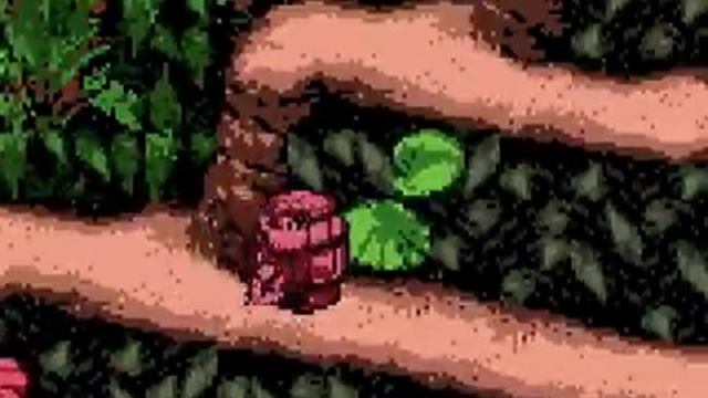 GBC - Donkey Kong Country