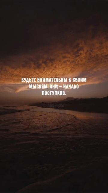 #1036 Цитата дня. Мотивация.