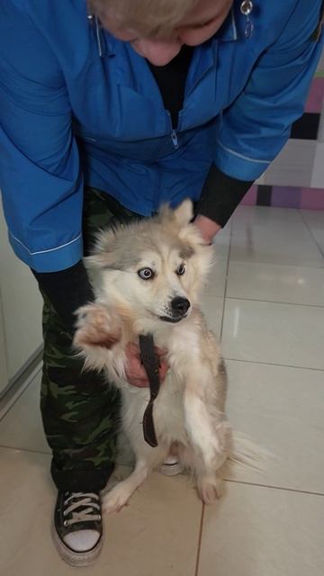 Сиротка идёт на поправку — и очень ждёт свою семью!